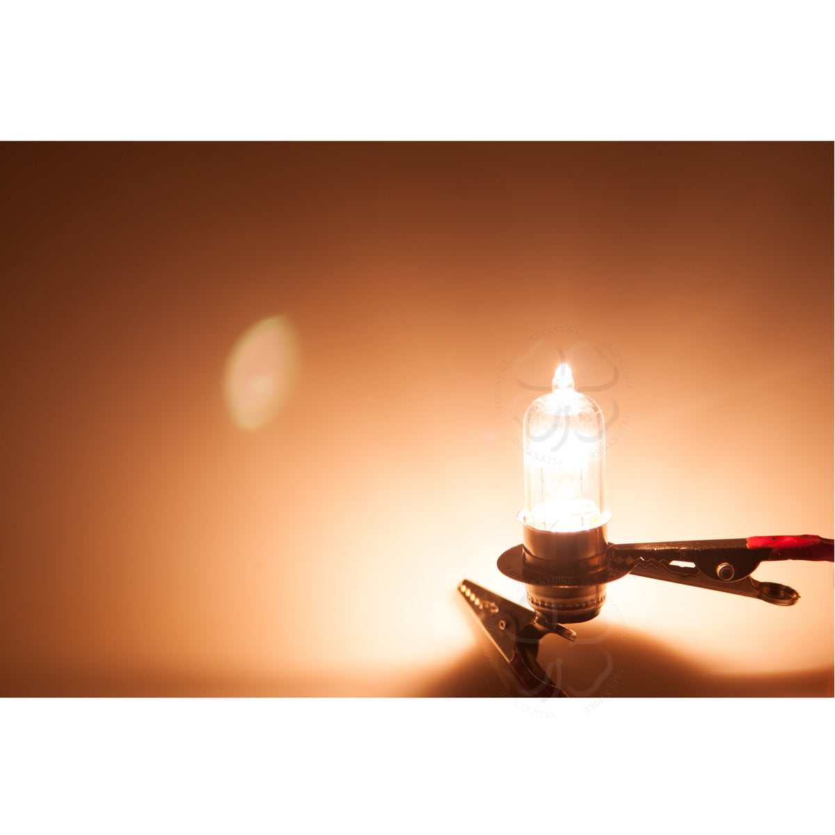 Bulb - P15D PX15D 35W Headlight - x1 – LuckyBike.com